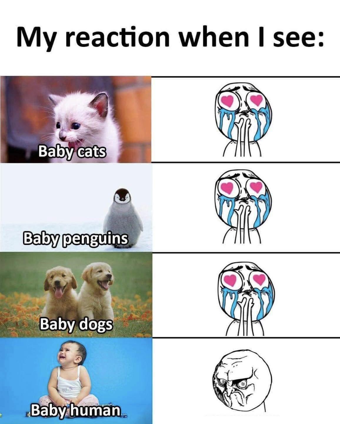 anyone? | /r/memes | NO. Rage Face | Know Your Meme