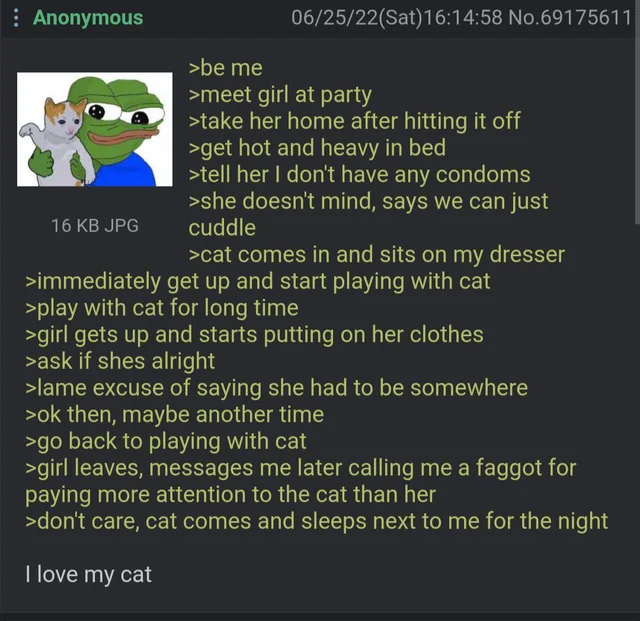 Anon loves his cat | /r/Greentext | Greentext Stories | Know Your Meme
