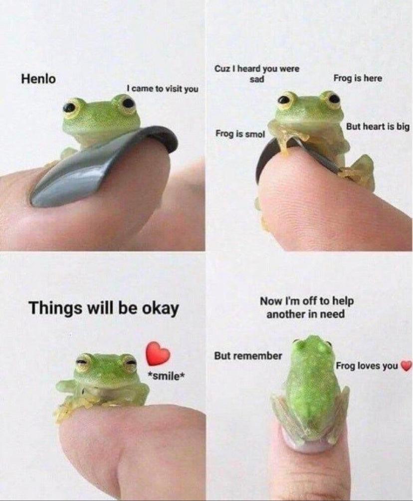Frog Loves You r wholesomememes Wholesome Memes Know Your Meme Frog Loves You r wholesomememes Wholesome Memes Know Your Meme