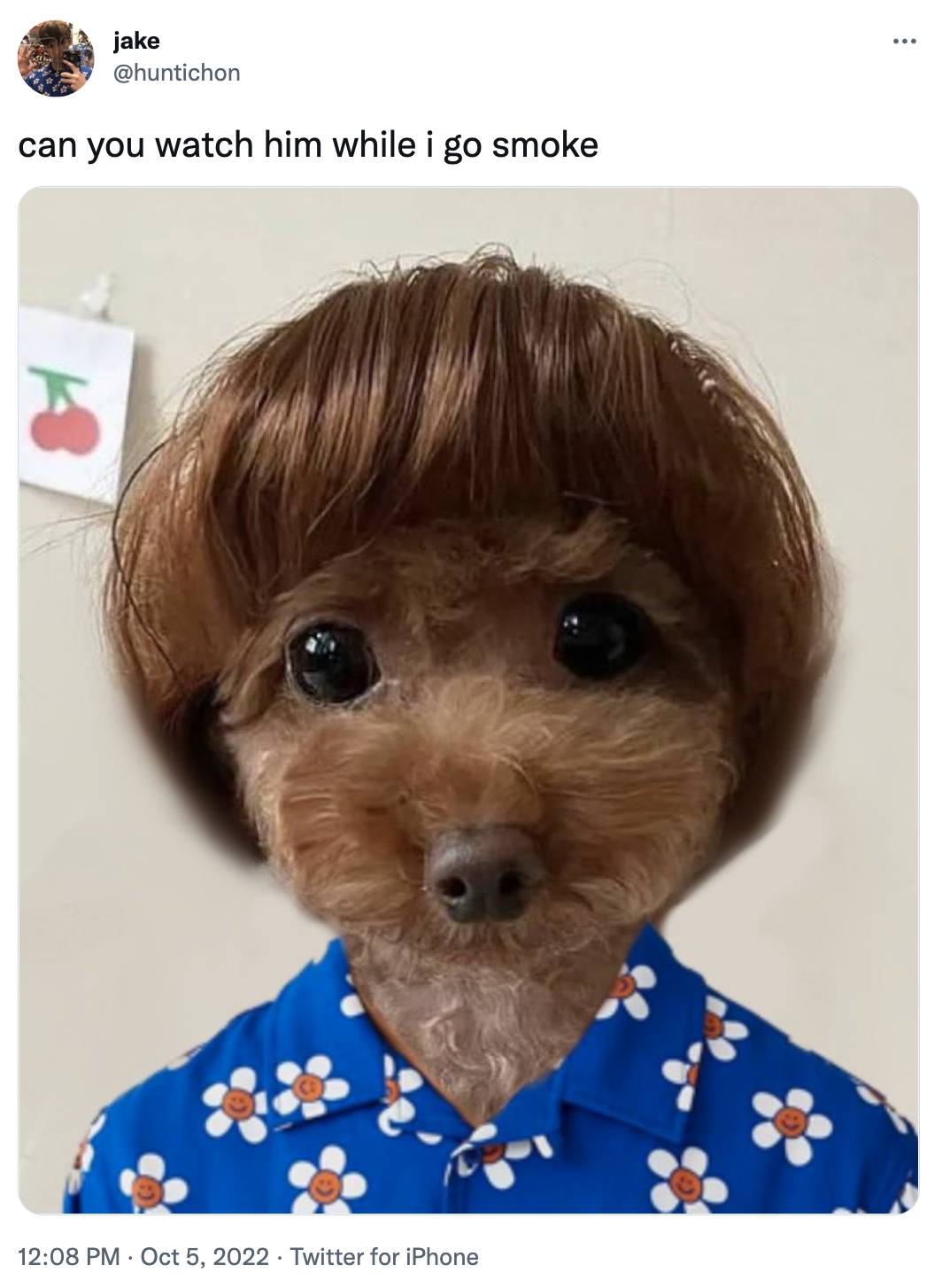 Can You Watch Him While I Go Smoke (Twitter Meme) | Can You Watch Him ...