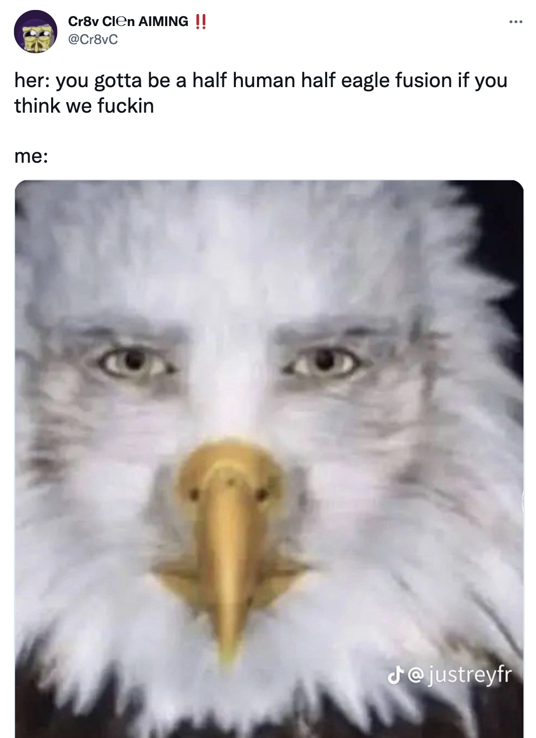 Staring Eagle Man Meme | Staring Eagle | Know Your Meme