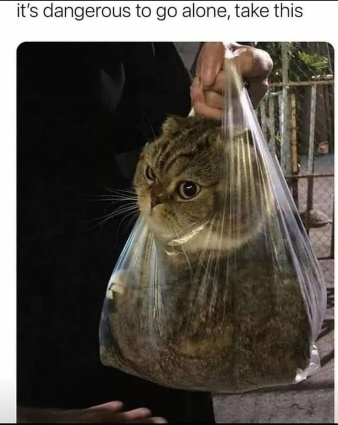 ily my fren take this