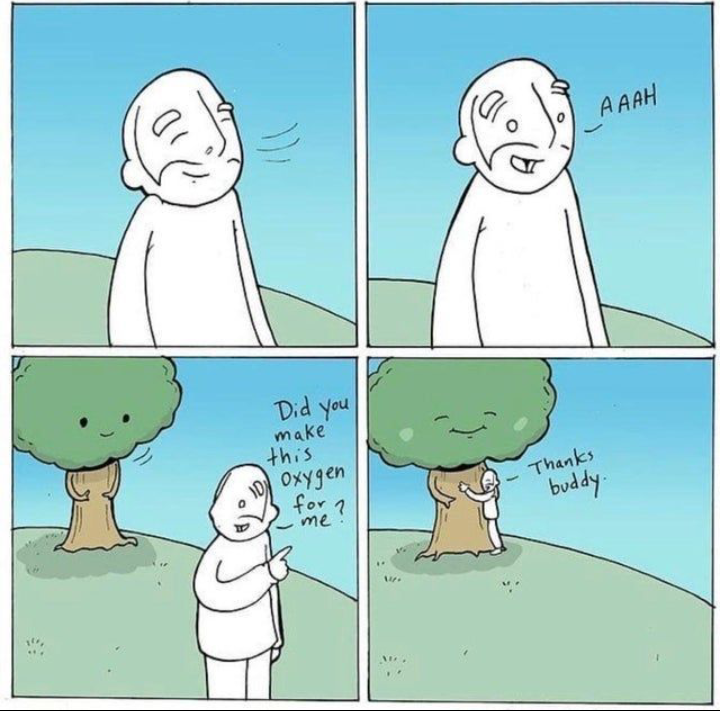 Have You Hugged a Tree Today? | /r/wholesomememes | Wholesome Memes ...