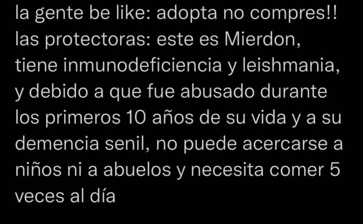 Este es Mierdon | Este es Mierdon | Know Your Meme