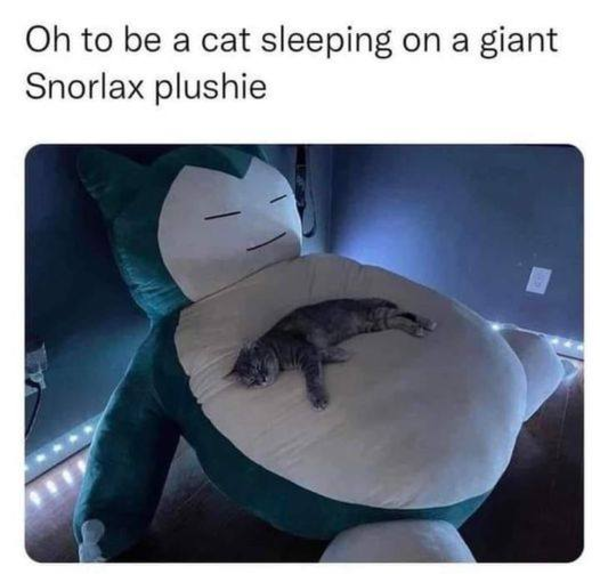 How I wanna be on this dreary day | /r/wholesomememes | Wholesome Memes ...