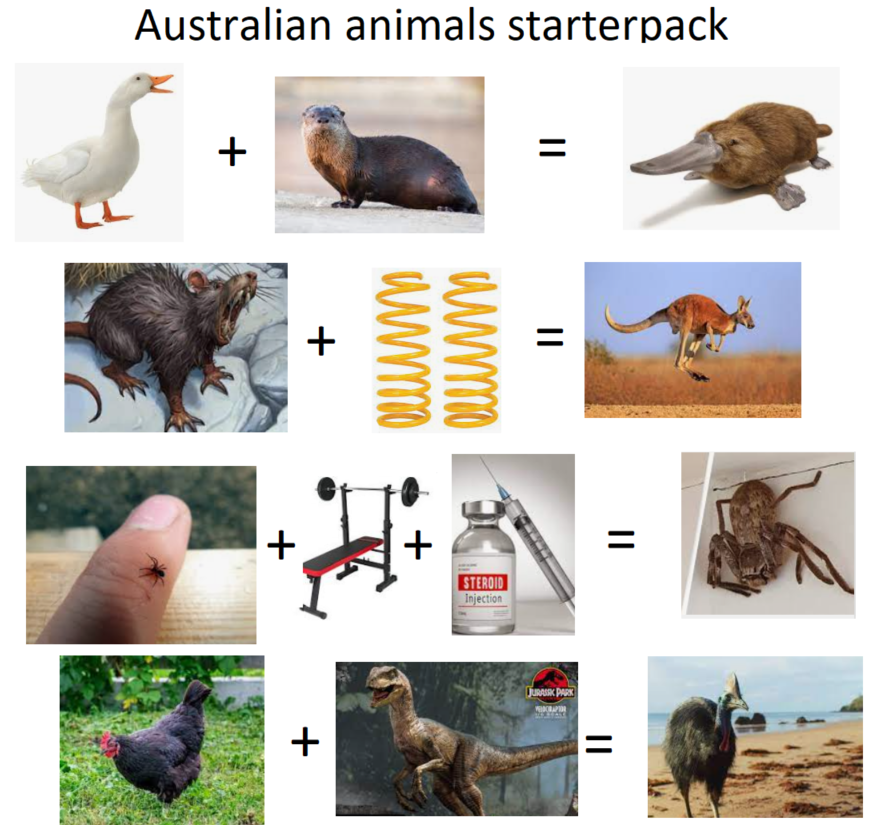 Australian animals starterpack | /r/starterpacks | Starter Packs | Know ...
