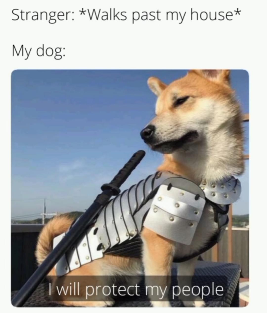 Thanks little buddy i feel protected | /r/wholesomememes | Wholesome ...