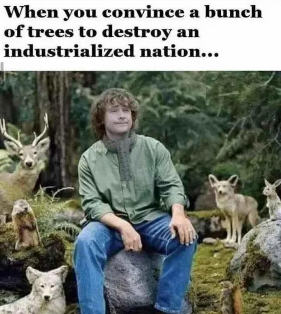 So...Pippin was Monke? | /r/PoliticalCompassMemes | Political Compass ...