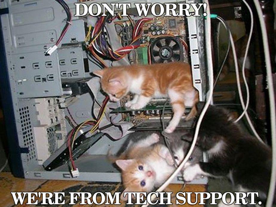 Computer masters. | /r/memes | Cats | Know Your Meme