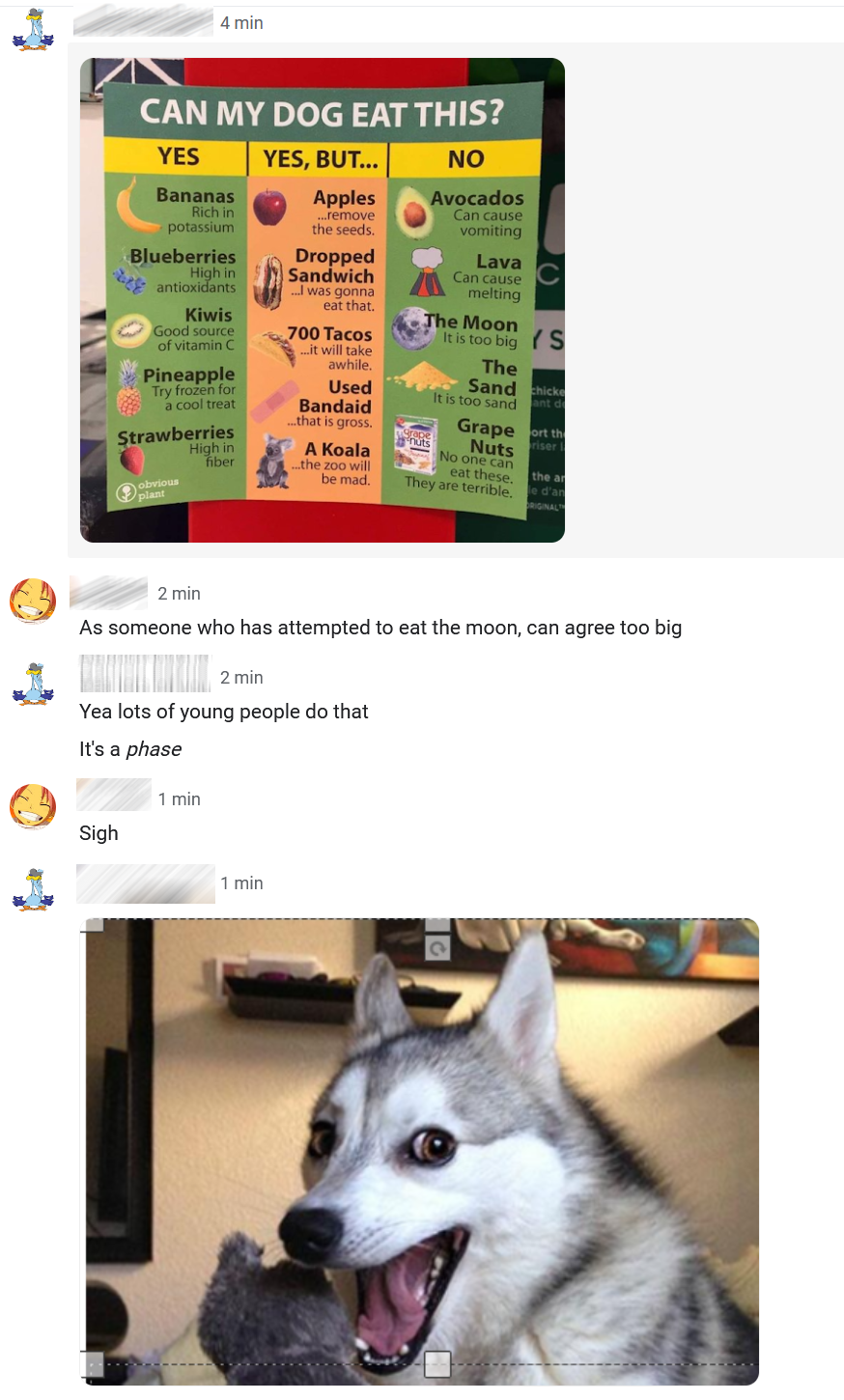 My daughter walked right into it | /r/wholesomememes | Wholesome Memes ...