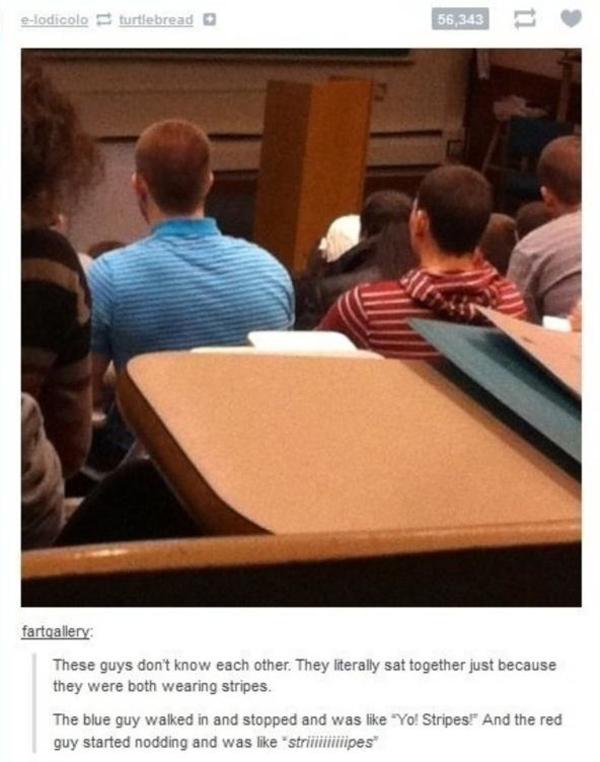 The Stripes Alliance | /r/wholesomememes | Wholesome Memes | Know Your Meme