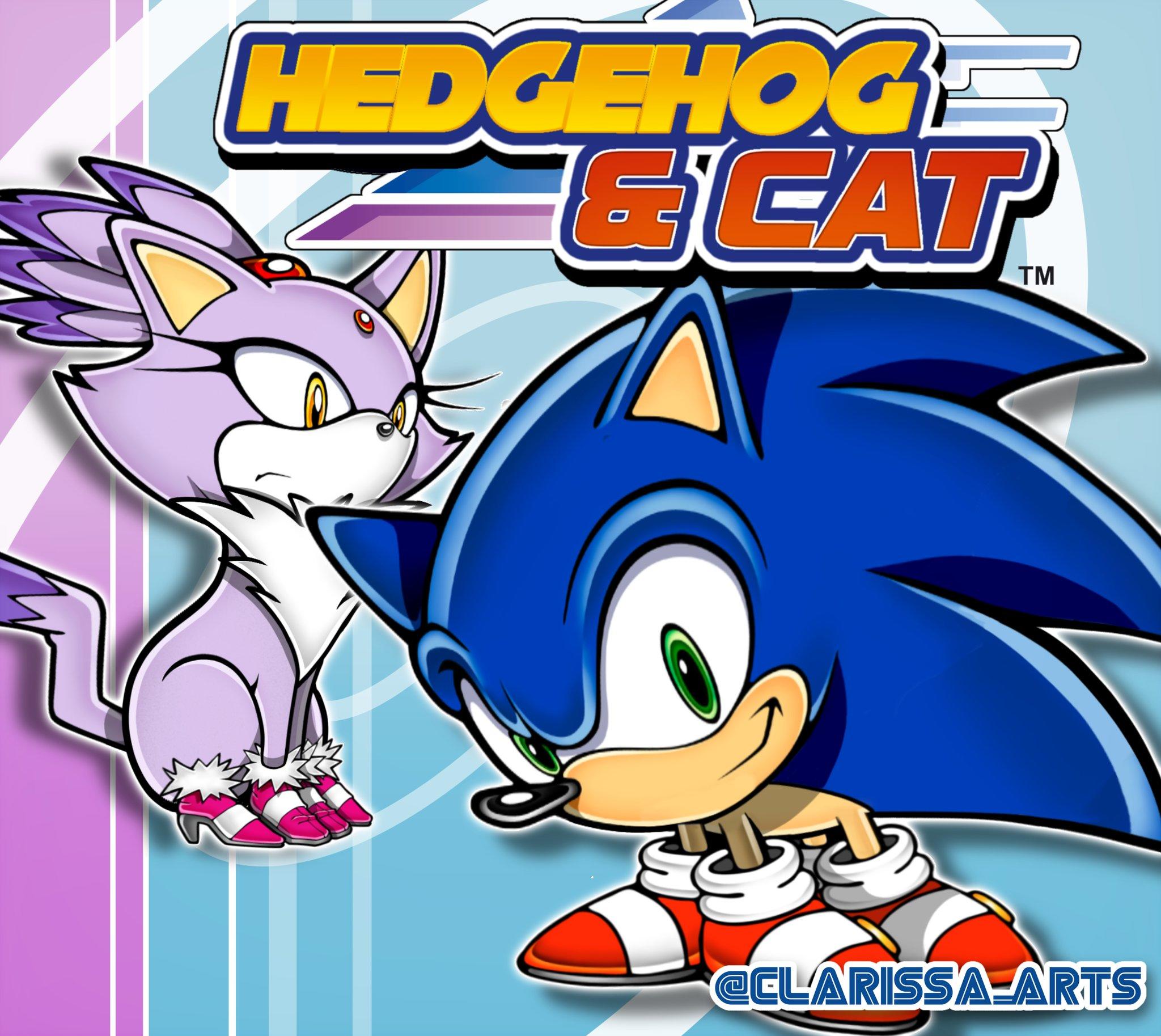 Hedgehog & Cat | Sonic the Hedgehog | Know Your Meme