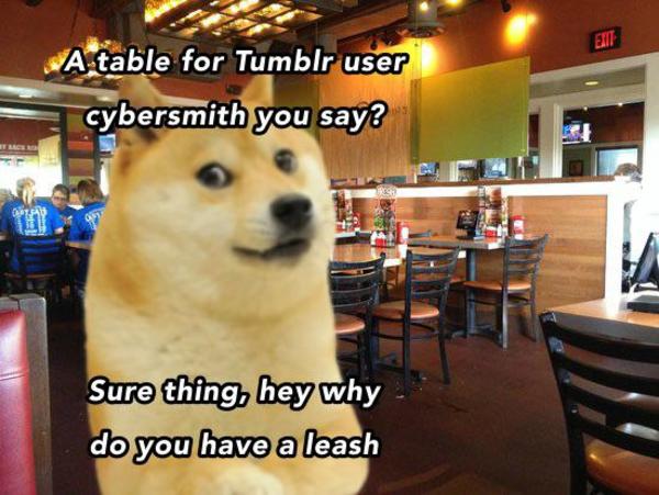 Le the human pet guy | /r/dogelore | Ironic Doge Memes | Know Your Meme