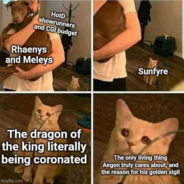 Justice for Sunfyre, a truly baffling decision to exclude him from the ...