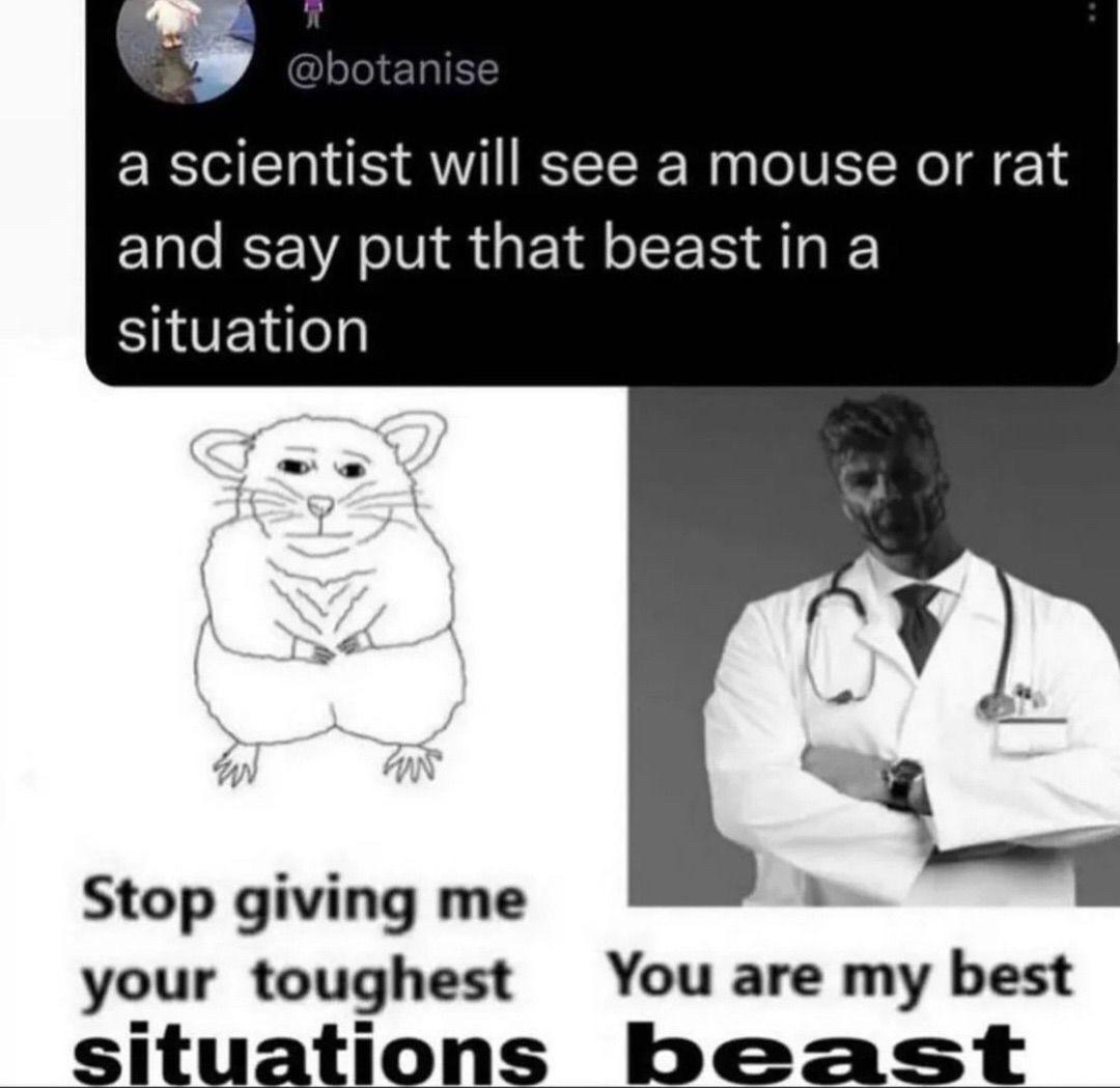 Rat Stop Giving Me Your Toughest Battles Wojak Comic Know Your Meme