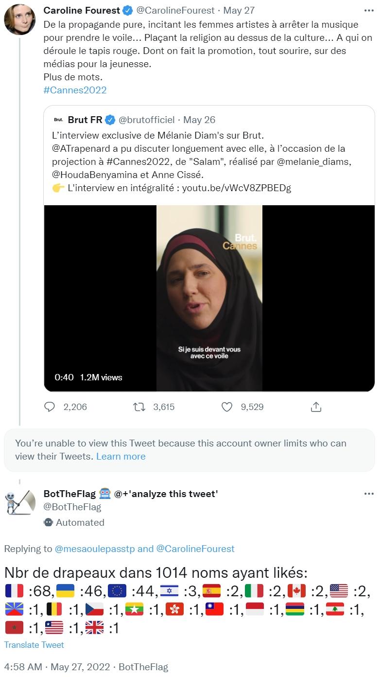 BotTheFlag Tweet | BotTheFlag | Know Your Meme