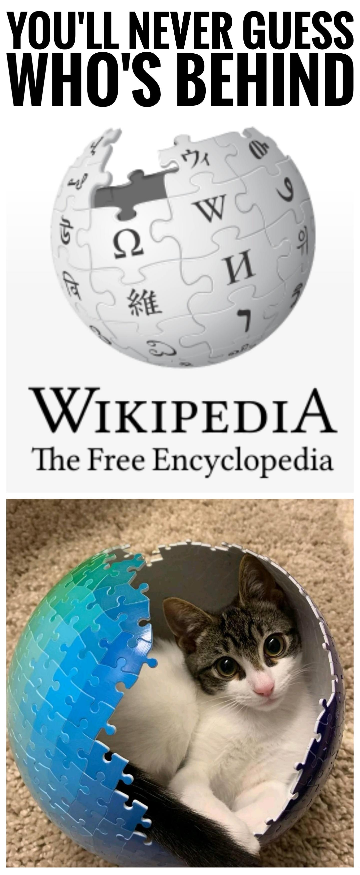 It's a Catspiracy! Invest in feline cabal memes! | /r/MemeEconomy ...