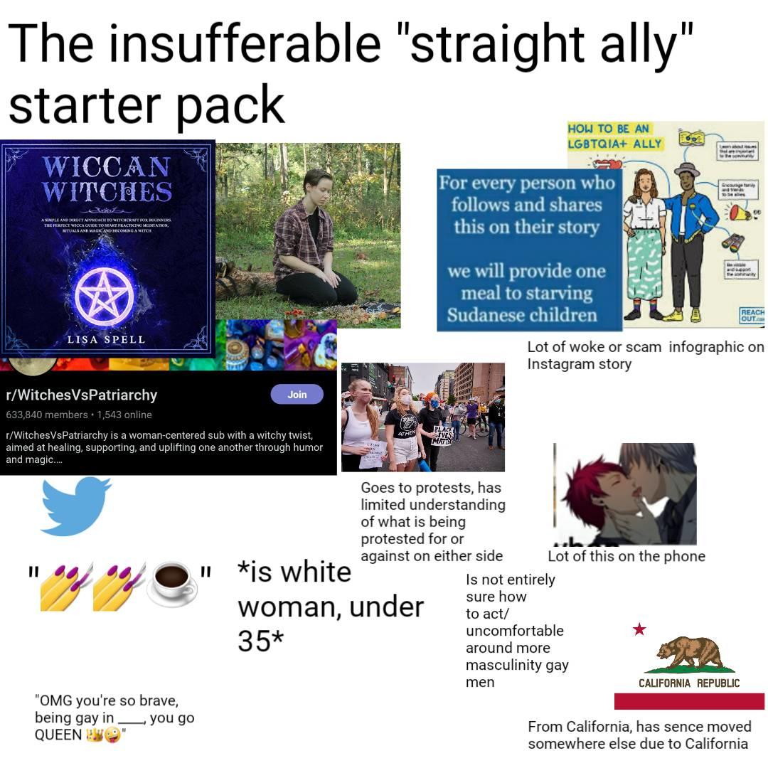insufferable straight ally starter pack | /r/starterpacks | Starter ...