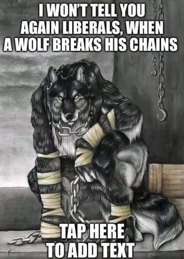 Wolf Breaks Chains, Tells Liberals | Emo Wolf / Lobos Con Frases ...