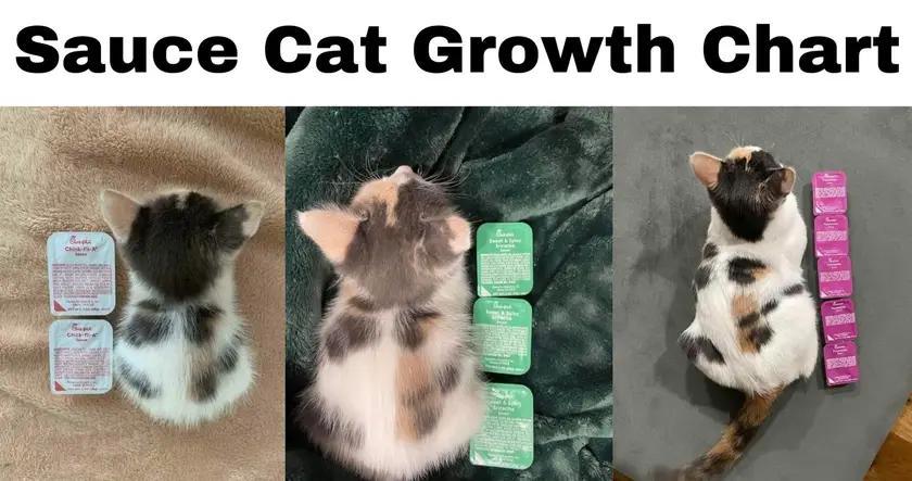 They should weigh her using the same technique | /r/wholesomememes ...