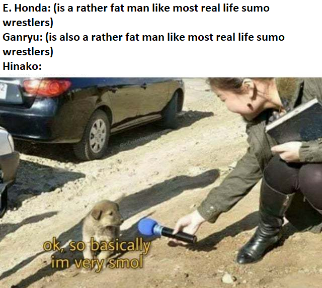 Fighting game sumo characters be like: | The King of Fighters | Know ...