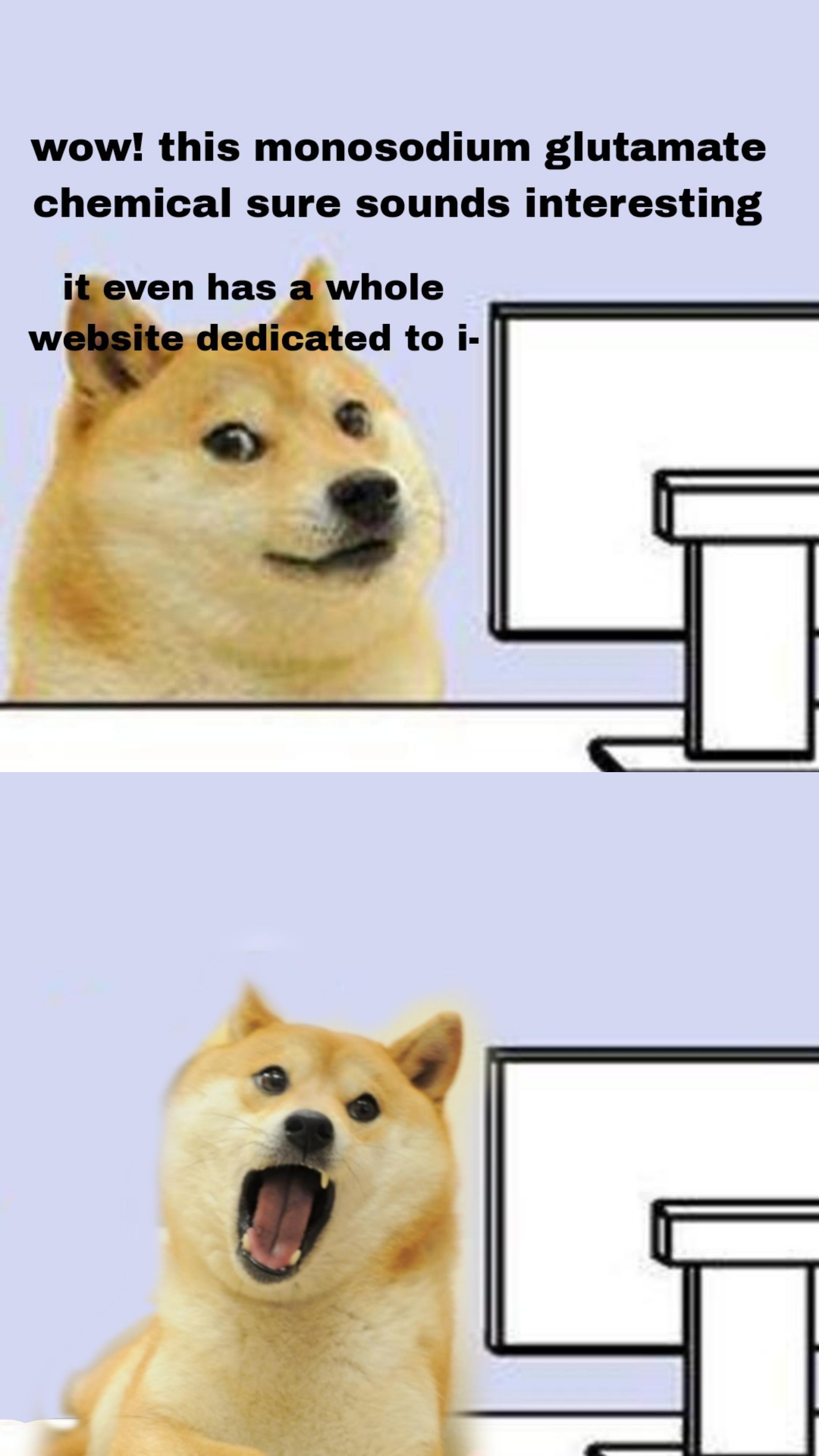 NOOO DOGE THIS WEBSITE ISNT ABOUT CHEMICALS | /r/dogelore | Ironic Doge ...