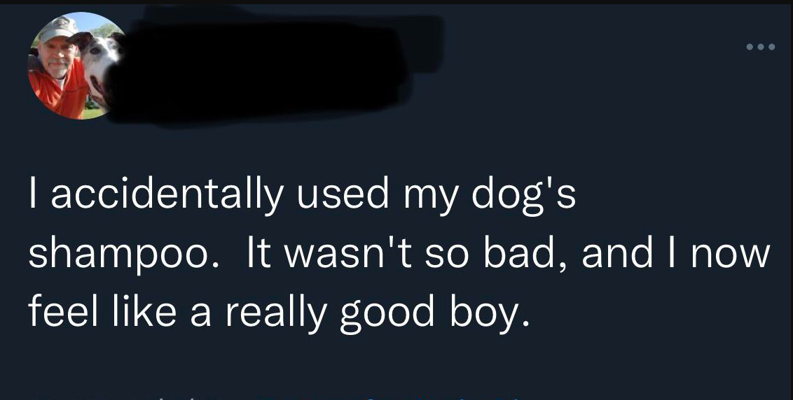 At least he’s flea free too! | /r/wholesomememes | Wholesome Memes ...