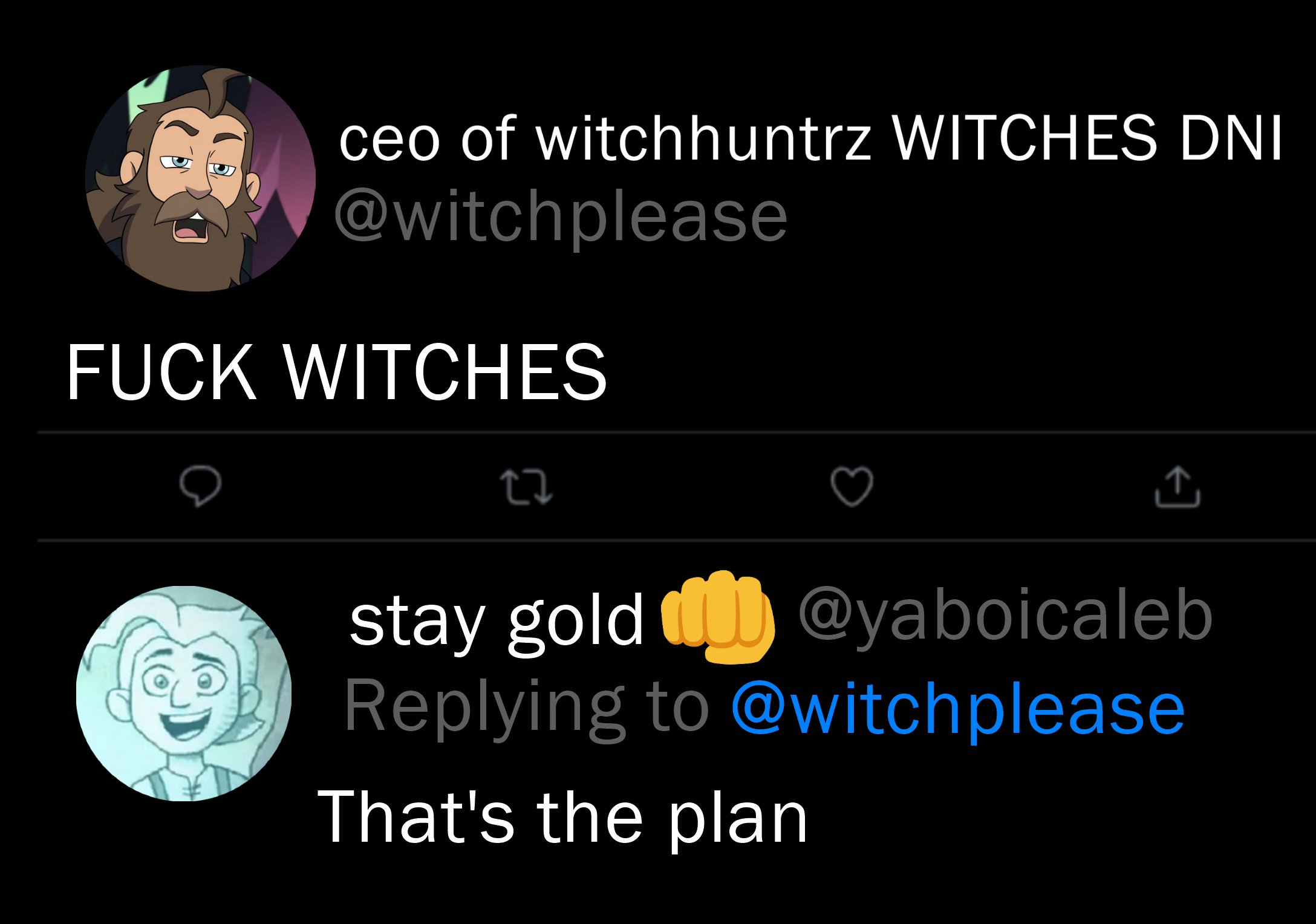 No Witches? | The Owl House | Know Your Meme