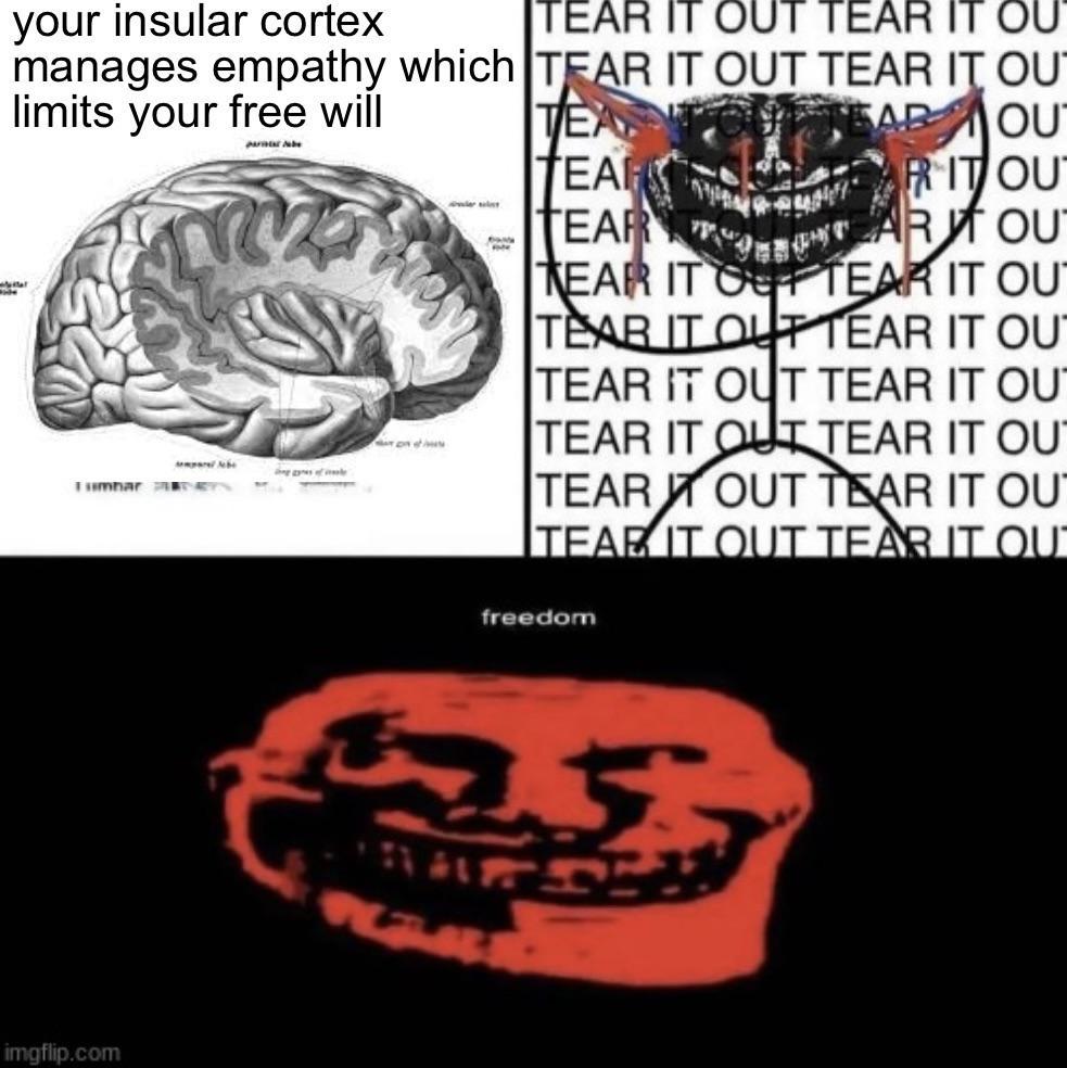 Tear out your insular cortex | Know Your Meme