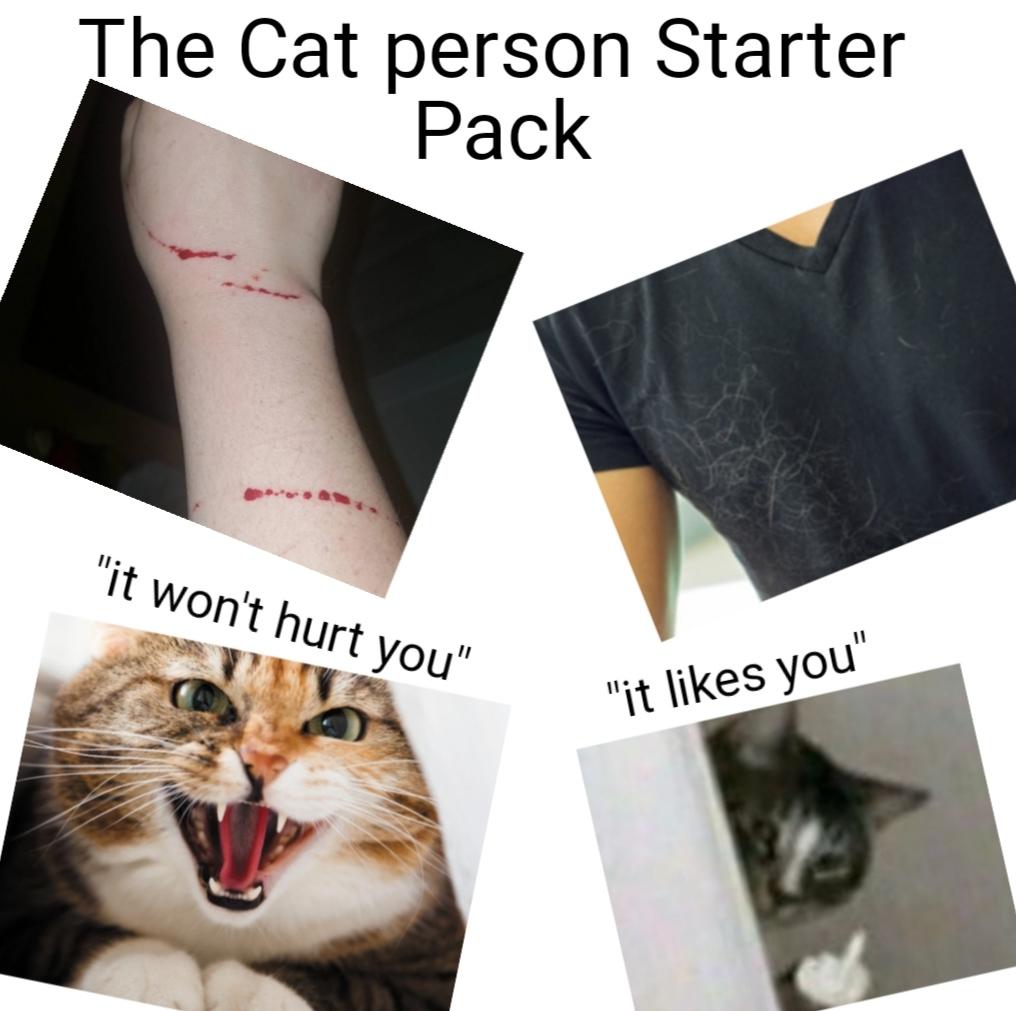 The Cat person starter pack | /r/starterpacks | Starter Packs | Know ...