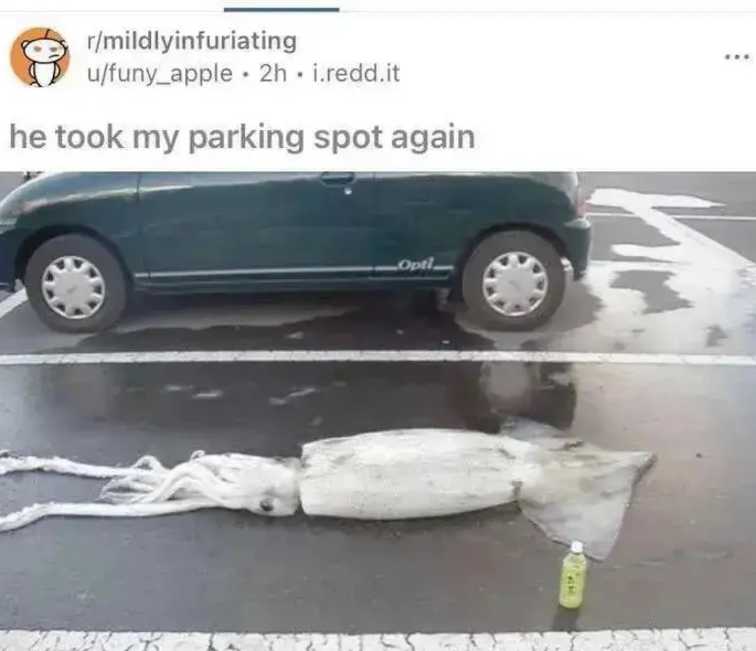 WOAHHHHHh! its funny because its a fisch | /r/okbuddyretard ...