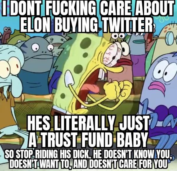 this is for all you elon fanboys | /r/memes | Elon Musk's Twitter ...
