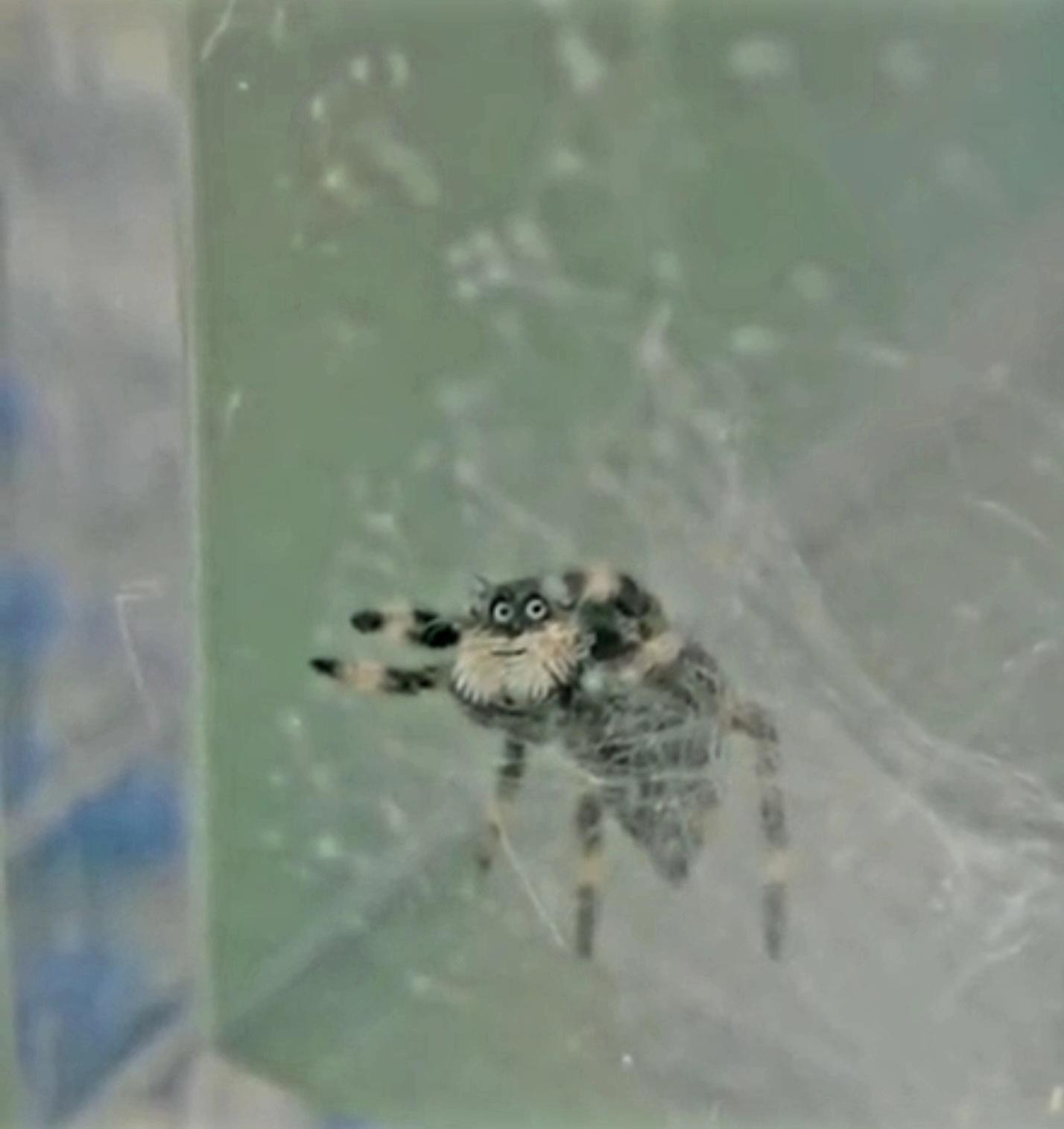 If you're under 15 and have no computer you should play with this ...