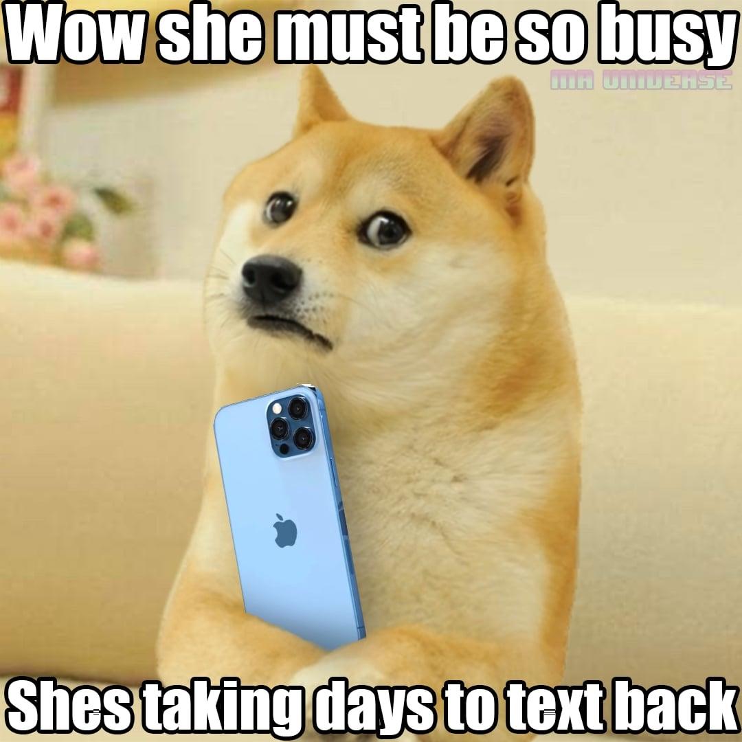 le text has not arrived | /r/dogelore | Ironic Doge Memes | Know Your Meme
