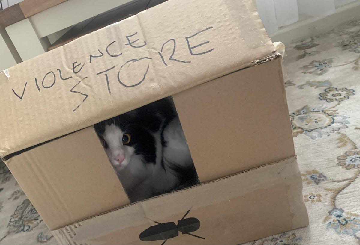 violence store | Cats | Know Your Meme
