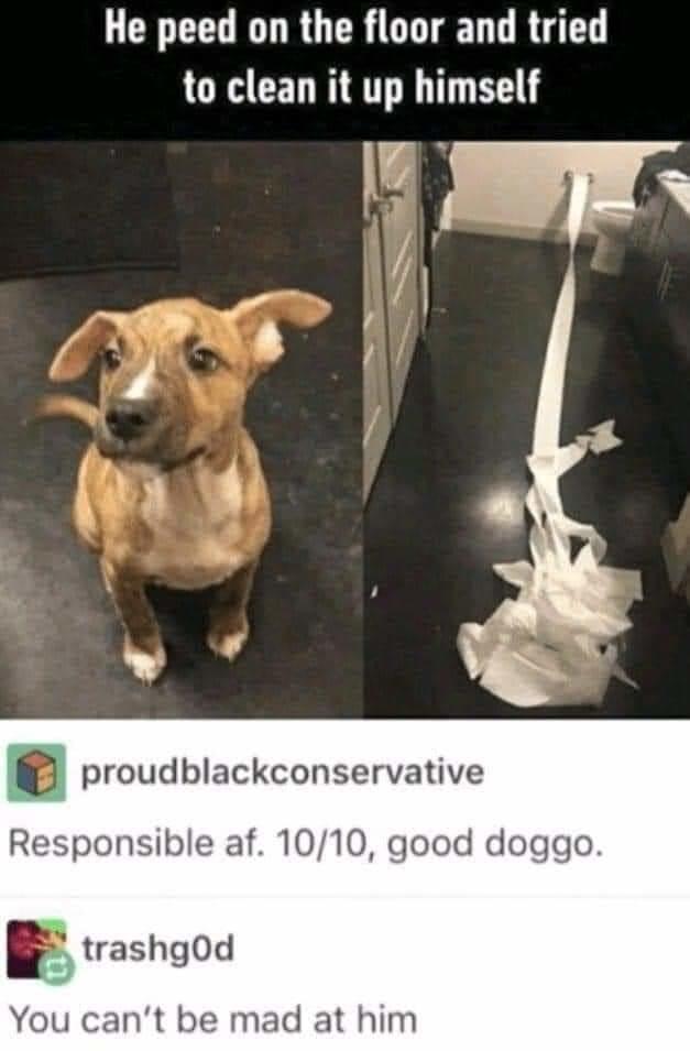 Taking responsibility is key. | /r/wholesomememes | Wholesome Memes ...