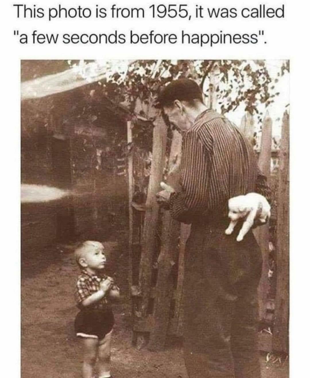 True happiness. | /r/wholesomememes | Wholesome Memes | Know Your Meme