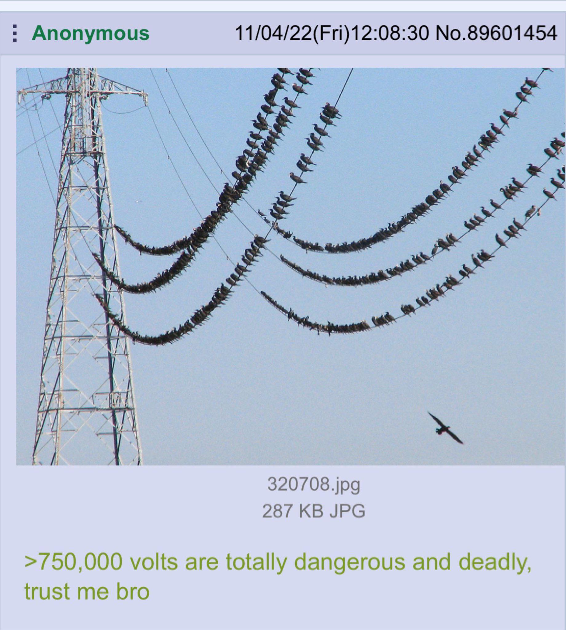 anon doesn’t believe in electricity | /r/Greentext | Greentext Stories ...