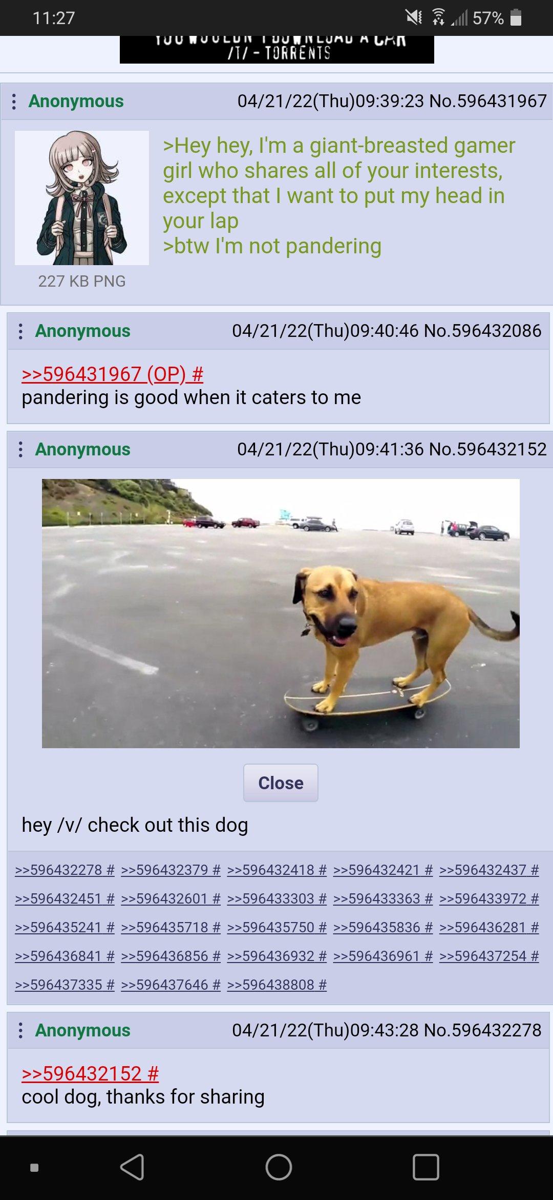 check out this dog | /v/ | Know Your Meme