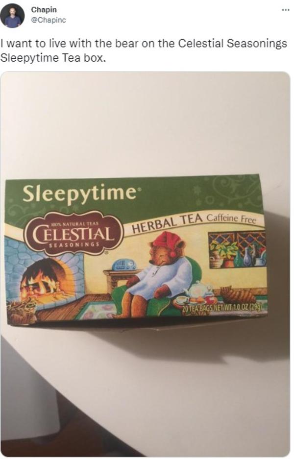 I want to live with the bear on the Celestial Seasonings Sleepytime Tea ...