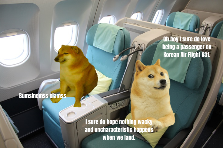 Le flight has arrived | /r/dogelore | Ironic Doge Memes | Know Your Meme