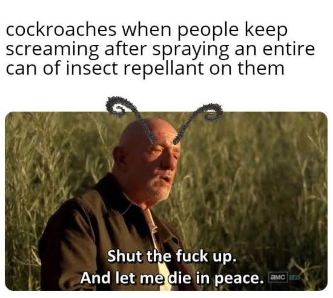 At least let them die in piece. | /r/memes | Know Your Meme