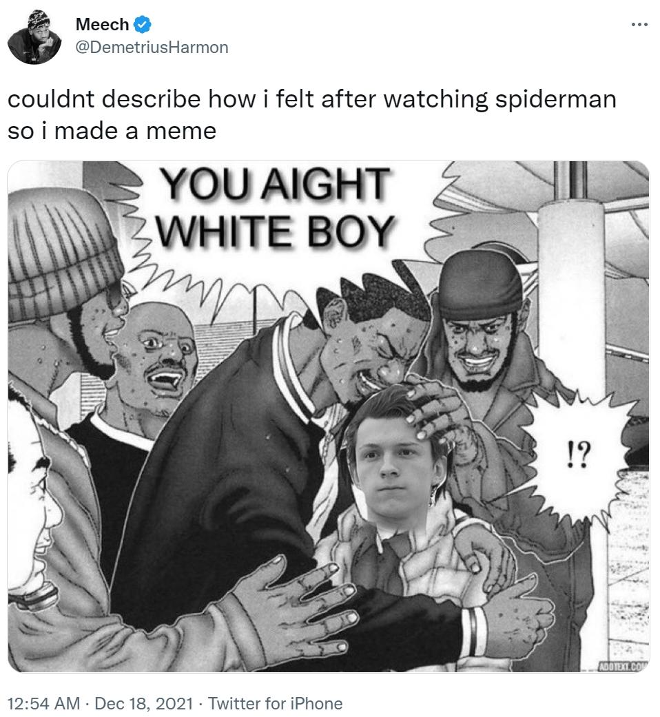 couldnt describe how i felt after watching spiderman so i made a meme ...