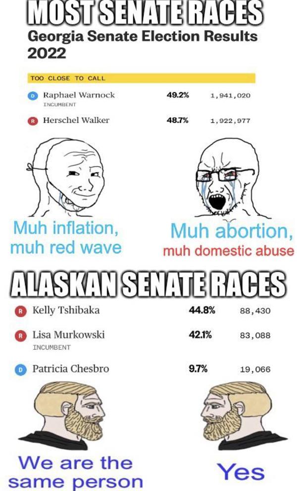 The Virgin competitive swing state vs the Chad one party dictatorship ...