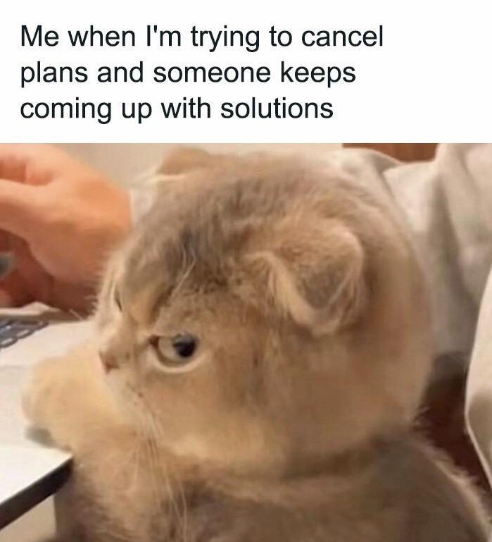 Why can’t they just let me be | /r/wholesomememes | Wholesome Memes ...