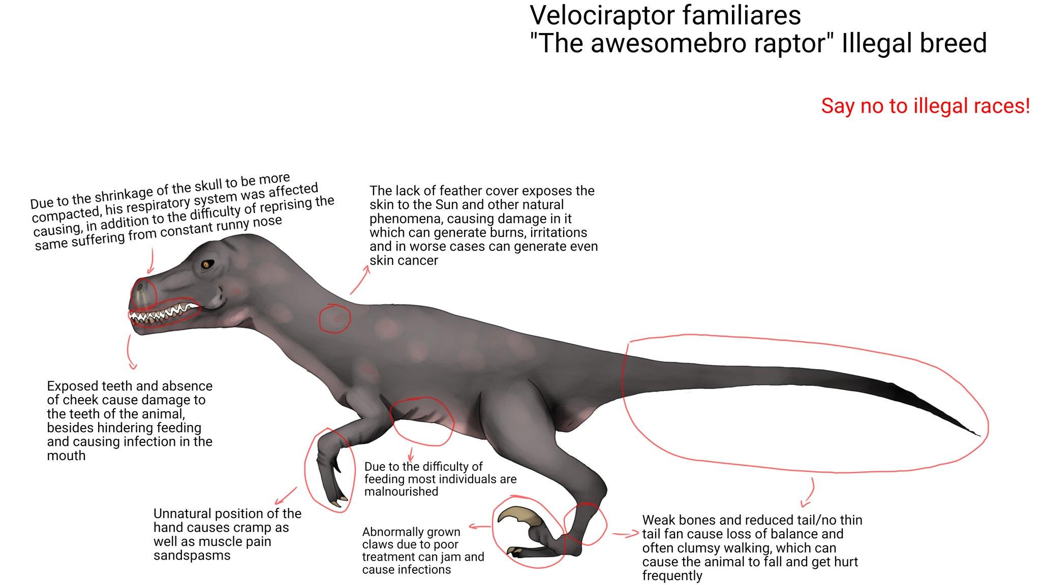 Awesome bro raptor | Awesomebro | Know Your Meme