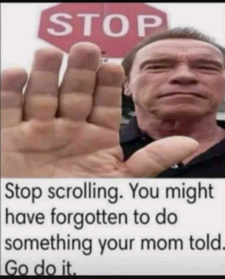 go do it bros | /r/wholesomememes | Wholesome Memes | Know Your Meme