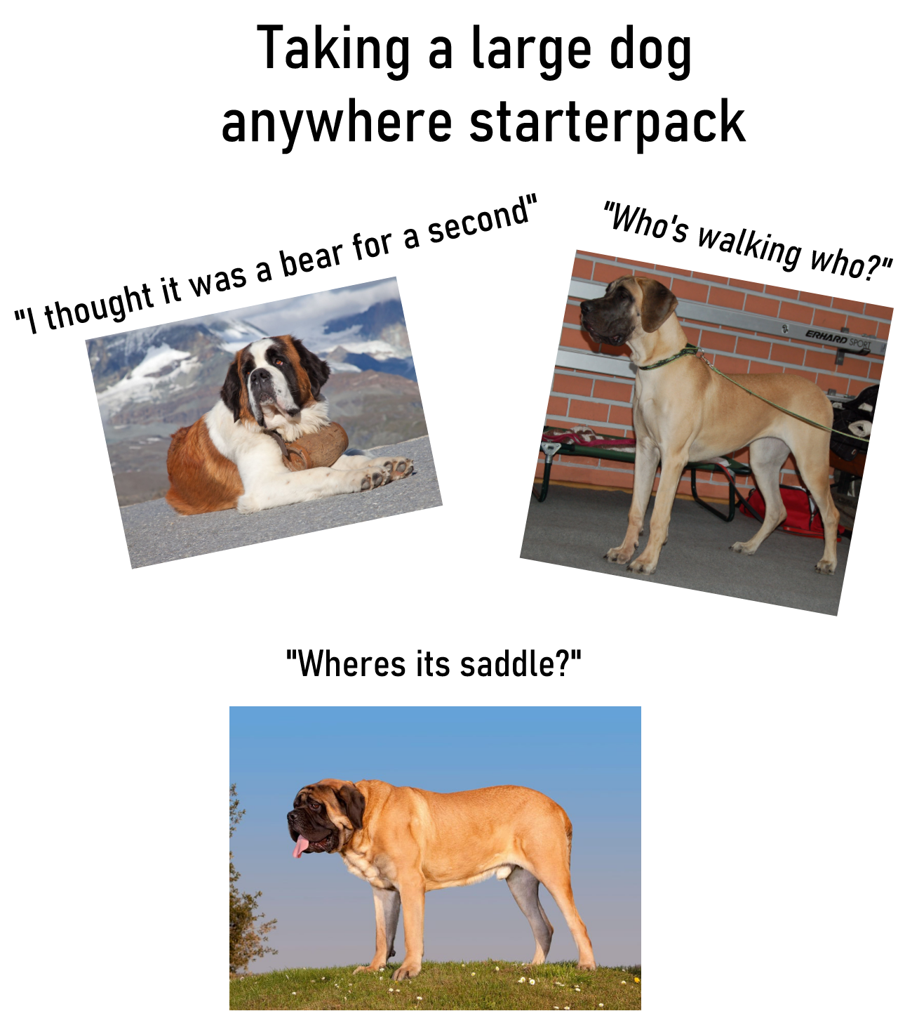 Taking a large dog anywhere starterpack | /r/starterpacks | Starter ...