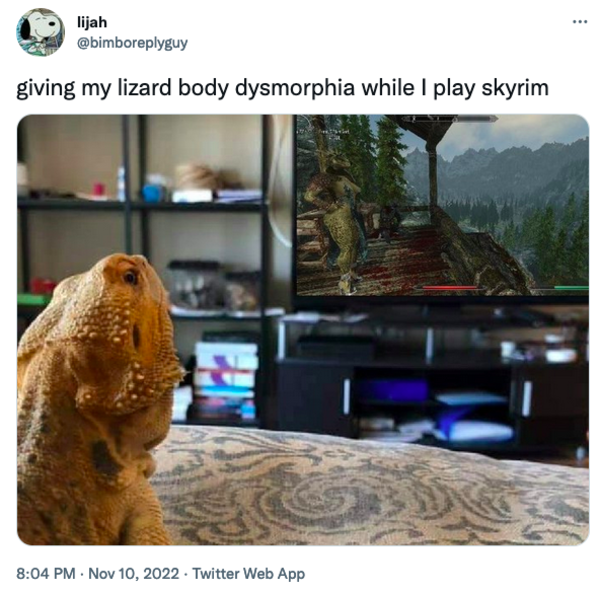 Giving Him Body Dysmorphia | Giving My Pet Body Dysmorphia | Know Your Meme