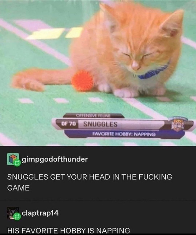 Always pursue your passions | /r/wholesomememes | Wholesome Memes ...
